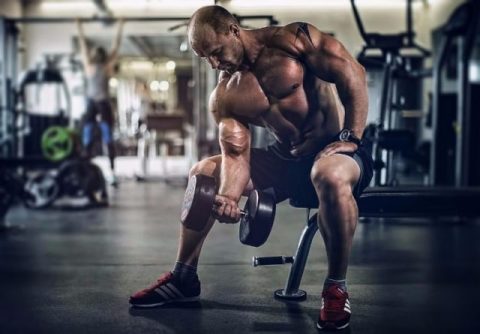 ¿Qué es equipoise? | Equipoise